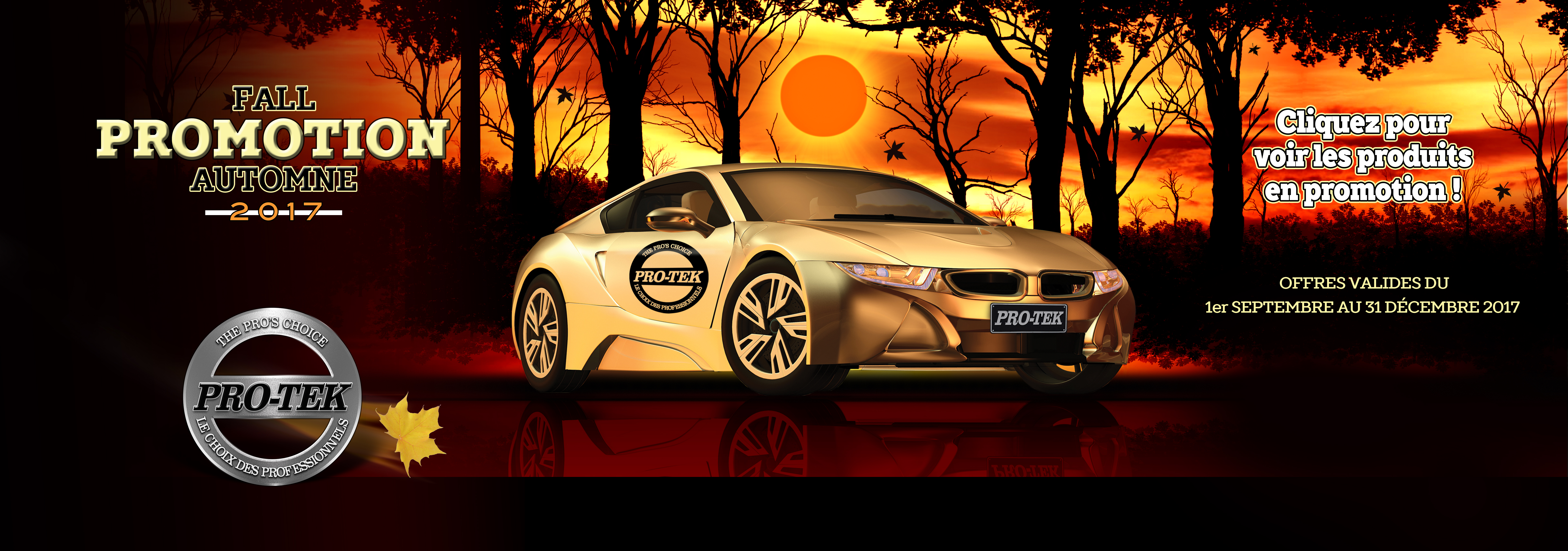 Accueil - pro-tek.ca