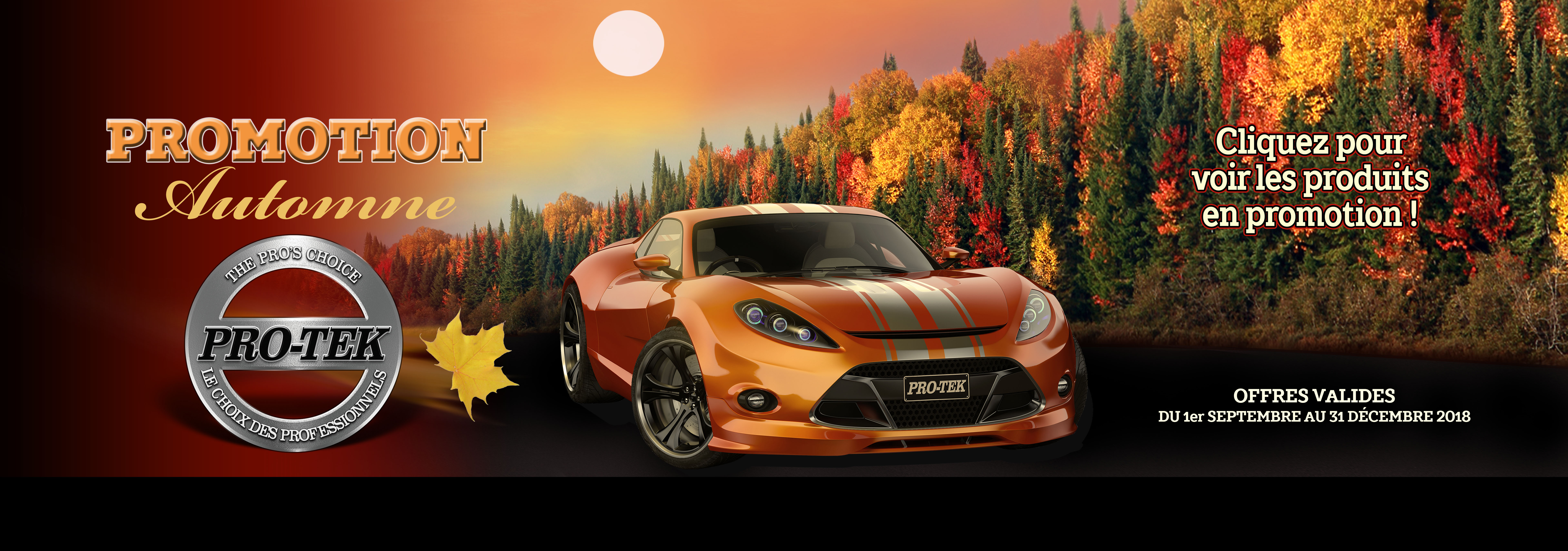 Accueil - pro-tek.ca